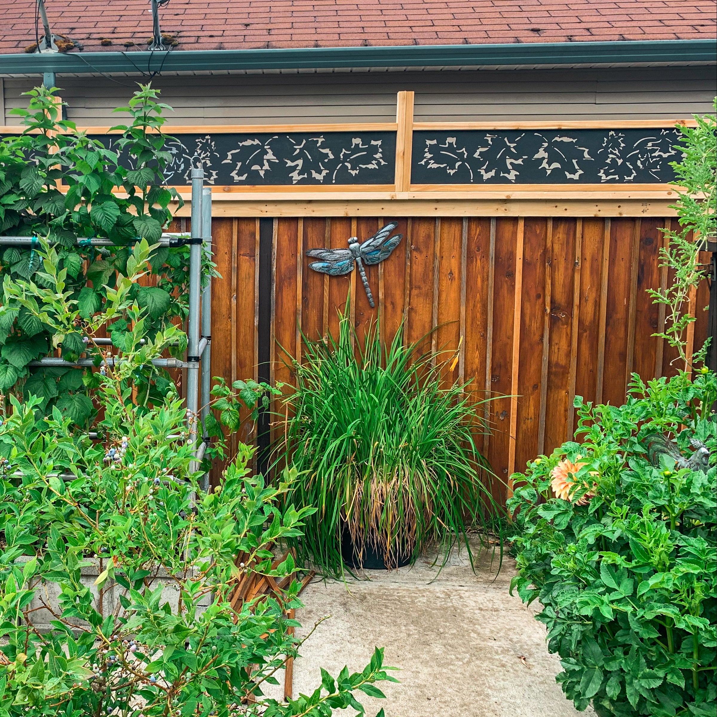 (2' x 4') Maple Leaf Privacy Screen